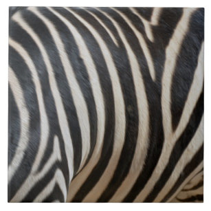 Animal Print Decorative Ceramic Tiles | Zazzle.co.uk