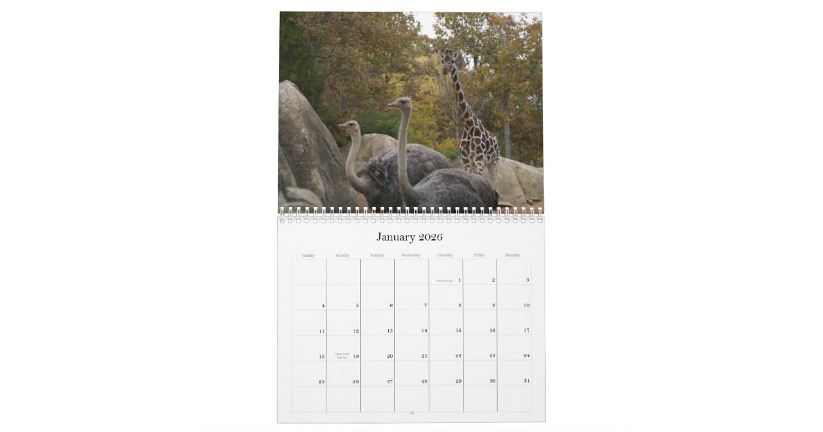 Zoo Animals Calendar | Zazzle